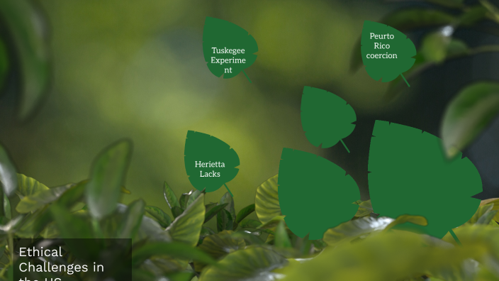 Ethical Challenges in the US by Miah Brown on Prezi