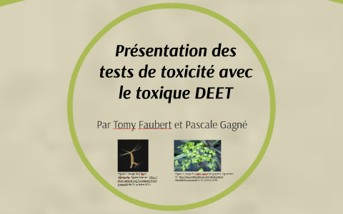 DEET TOXIC by Faubert Tomy on Prezi