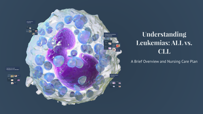 Understanding Leukemias: ALL vs. CLL by rand al-tamimi on Prezi