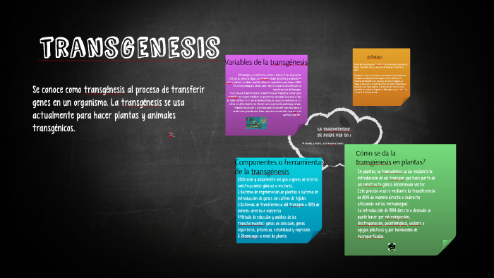 transgenesis by diana pedraza on Prezi