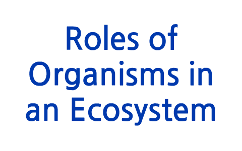 Roles of Organisms (Ecosystems) by Michael Gresham on Prezi