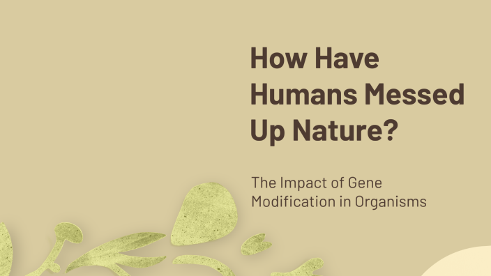 How Have Humans Messed Up Nature? by Finlay MacDonald on Prezi