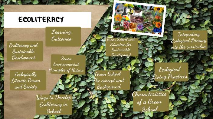 Group 10-Ecoliteracy by krizia rigon on Prezi
