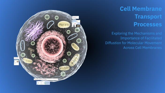 Cell Membrane Transport Processes by Jason Zhang on Prezi