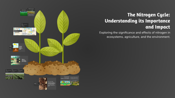 The Nitrogen Cycle: Understanding its Importance and Impact by addiaziz ...