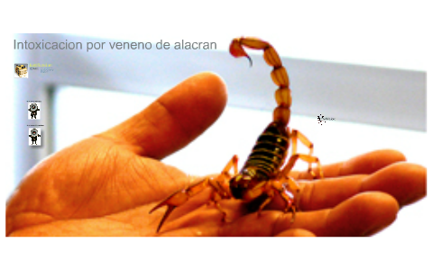 Diagnostico y tratamiento de alacranismo. by Daniel Martinez on Prezi