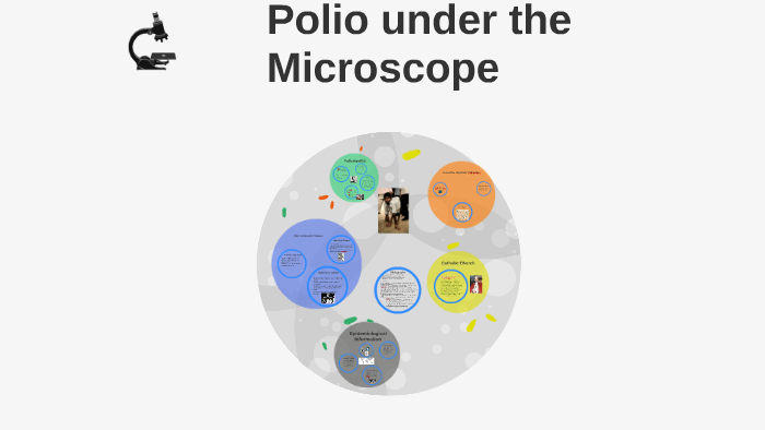 Polio under the Microscope by Rachel Aitcheson on Prezi