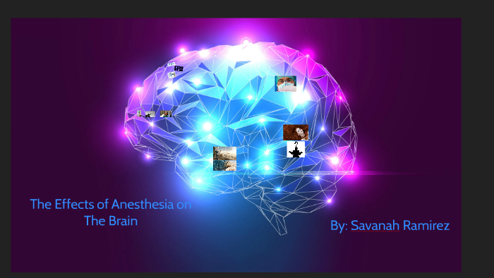 The Effects of Anesthesia on The Brain by Savanah Ramirez on Prezi