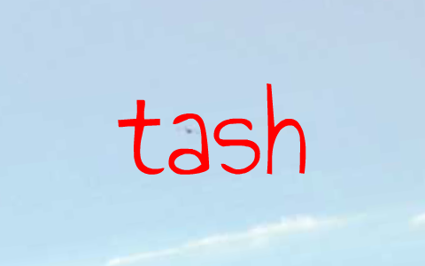 disable ppl by michael noda on Prezi