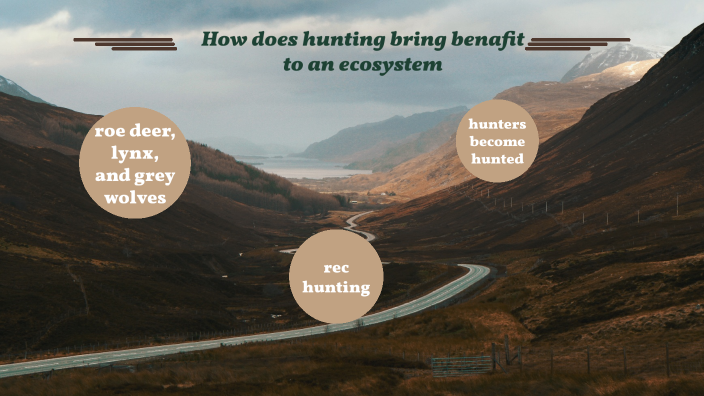 How does hunting bring a benefit the an ecosystem by space husky on Prezi