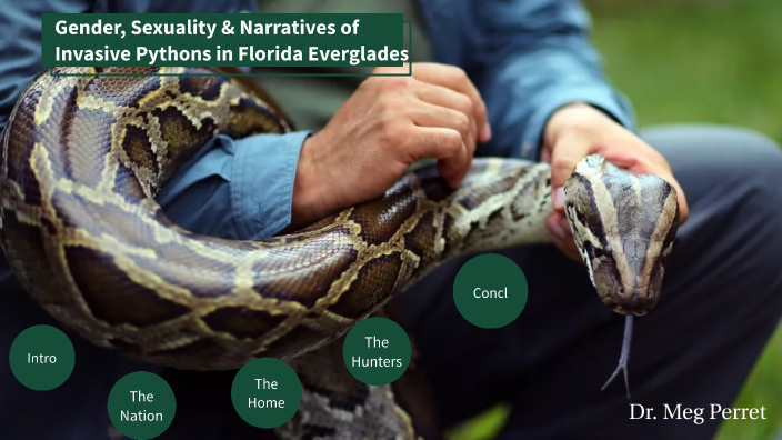 Pythons Talk TAMU 2024 by Meg Perret on Prezi