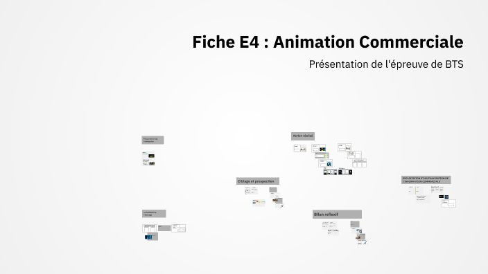 Fiche E4 : Animation Commerciale by Aymeric Berizzi on Prezi