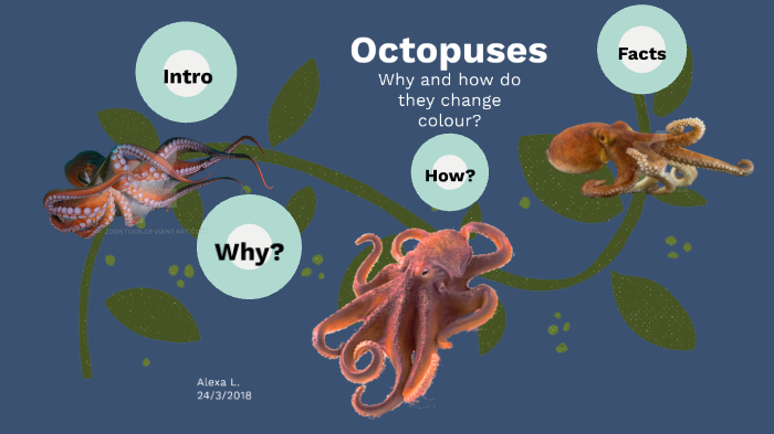 Octopuses-Why and How do they change color? by Alexa Lemmo on Prezi