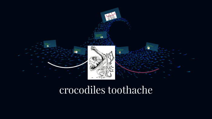 crocodiles toothache by Jacob David on Prezi