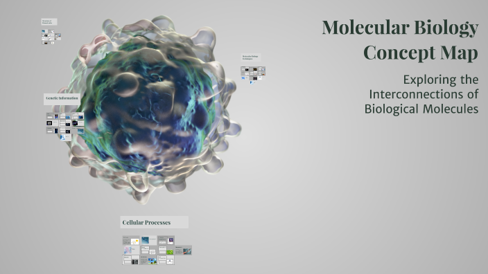 Molecular Biology Concept Map by Yocelis V on Prezi