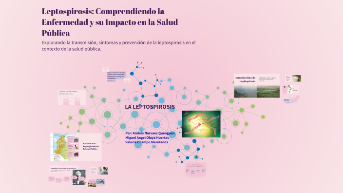 Leptospirosis: Comprendiendo la Enfermedad y su Impacto en la Salud ...