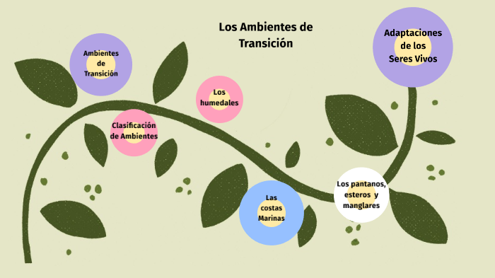 Los Ambientes de transición by knd knd on Prezi