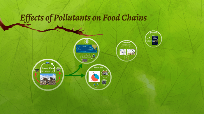 Effects of Pollutants on Food Chains by Alekas Krstic on Prezi