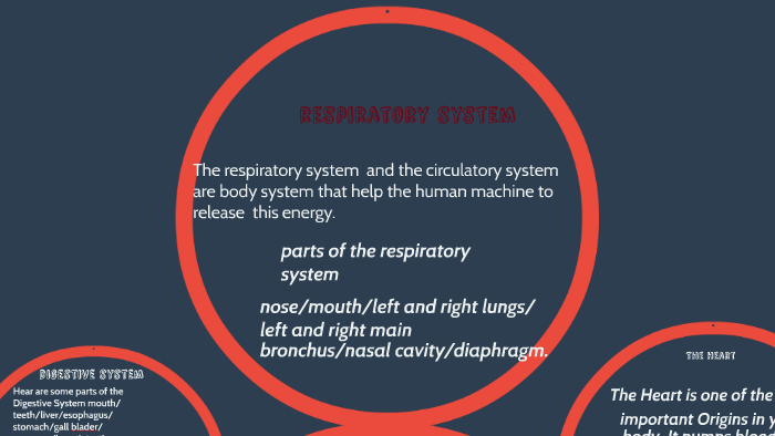 purple human body by Lily Winder on Prezi