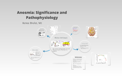 Anosmia: Significance and Pathophysiology by Renee Gonzalez Drolet on Prezi