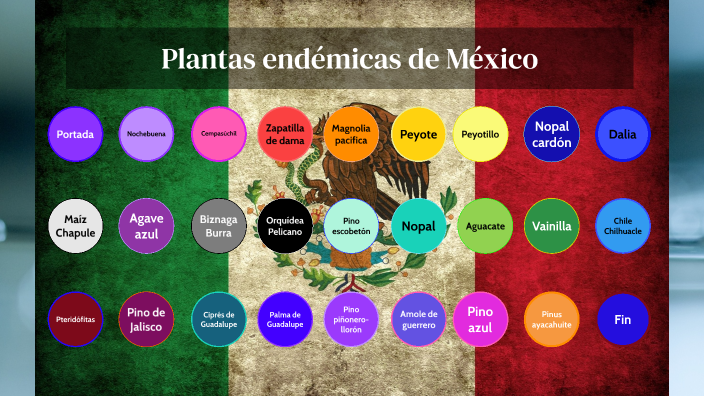 Catálogo de plantas endémicas de México González García Gael 608M by ...