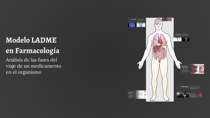 Modelo LADME en Farmacología by Marileni Girón montaño on Prezi