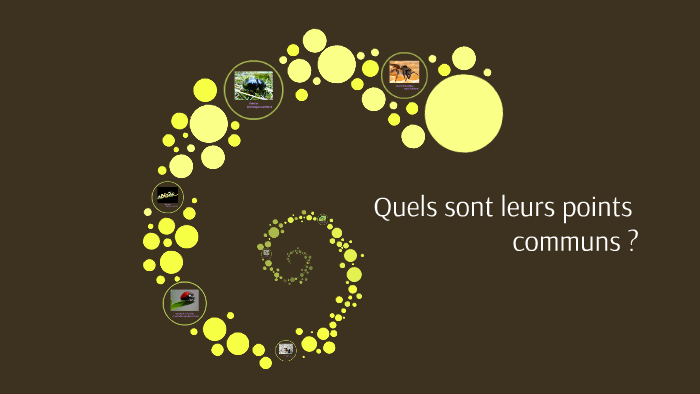 Quel sont leur point commun ? by Léa SCHUBNEL on Prezi