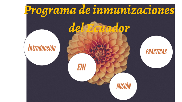 Programa de inmunizaciones del Ecuador by SISTEMA INMUNITARIO on Prezi