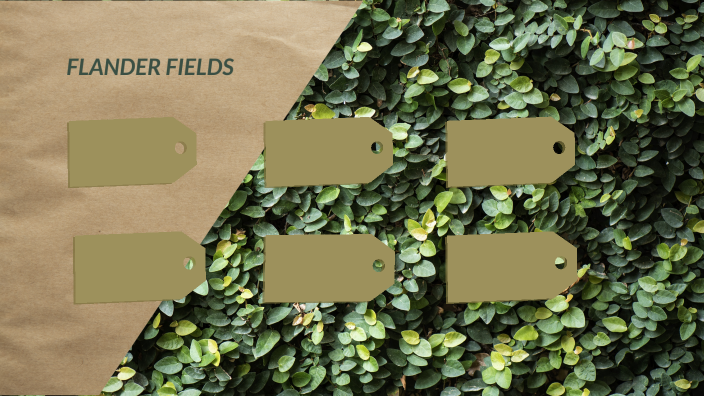 flander fields by Giulia Gargiulo on Prezi