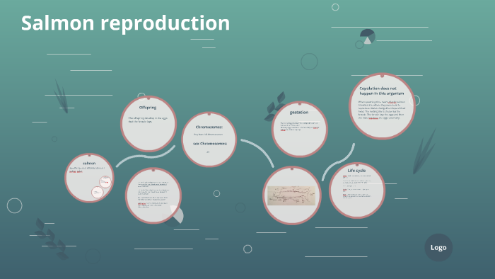 Salmon reproduction by bayleigh dosil on Prezi