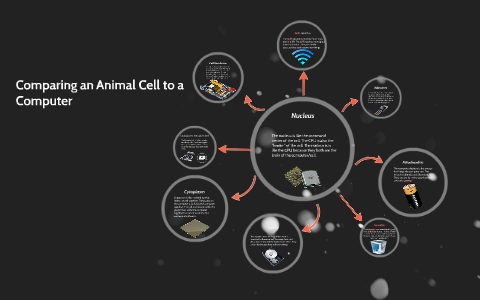 Comparing an Animal Cell to a Computer by Grant DeWaay on Prezi