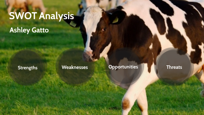 SWOT Analysis by Ashley Gatto on Prezi