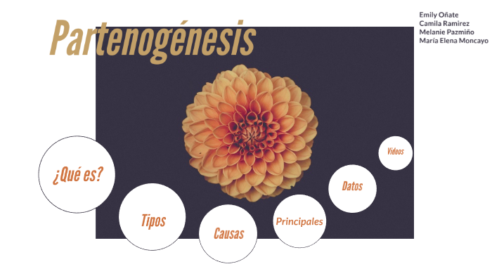 Partenogénesis by María Elena Moncayo on Prezi
