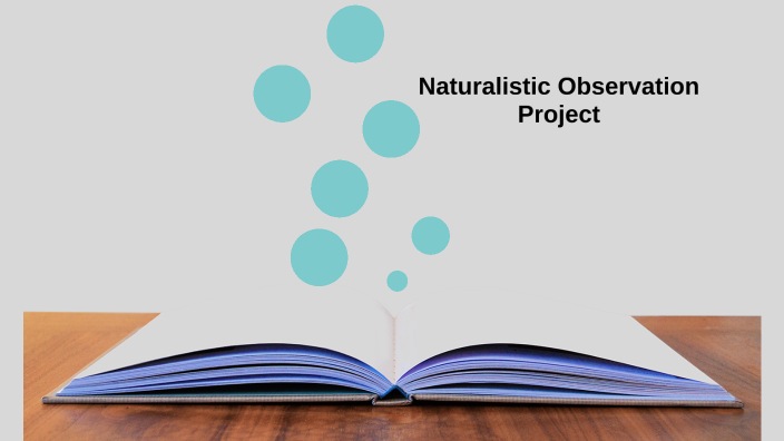 Naturalistic Observation Project by Diego Diaz Tijerina on Prezi