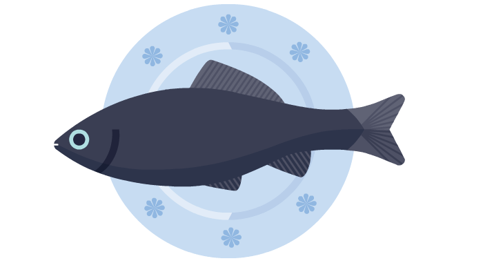 Yo nigga by jessica Quach