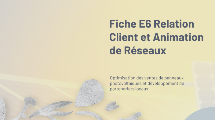 Fiche E6 Relation Client et Animation de Réseaux by bler iseni on Prezi
