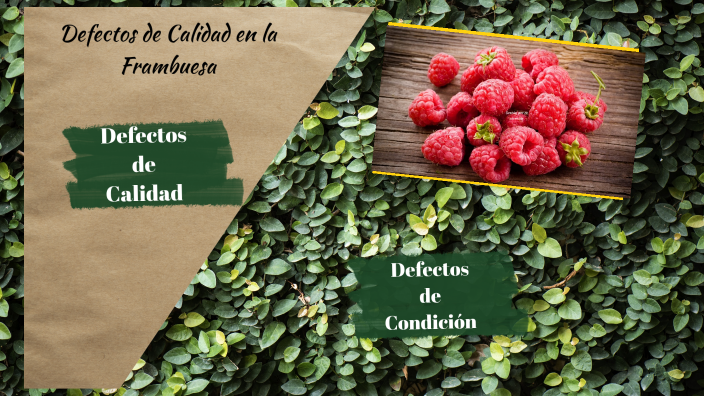 Defectos de Calidad en Frambuesa by Dallan Carrillo on Prezi
