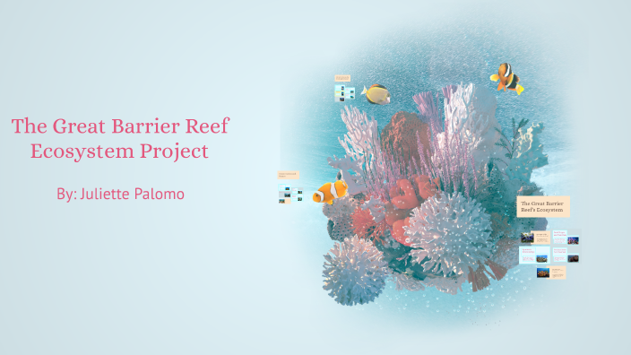 The Great Barrier Reef Ecosystem Project by Juliette Palomo on Prezi