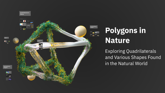 Polygons in Nature by Alek Peralta on Prezi
