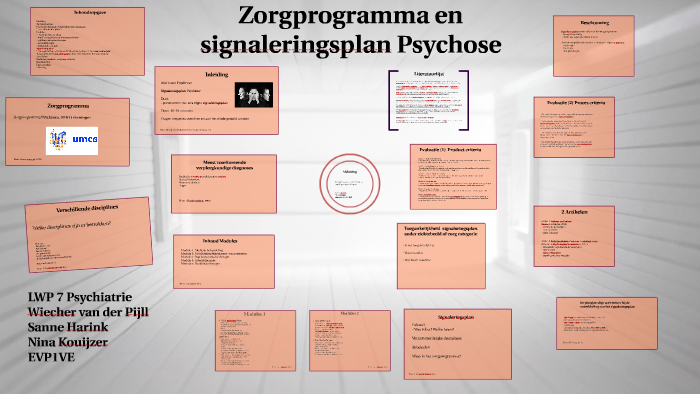 Zorgprogramma en signaleringsplan Psychose by Nina Kouijzer on Prezi