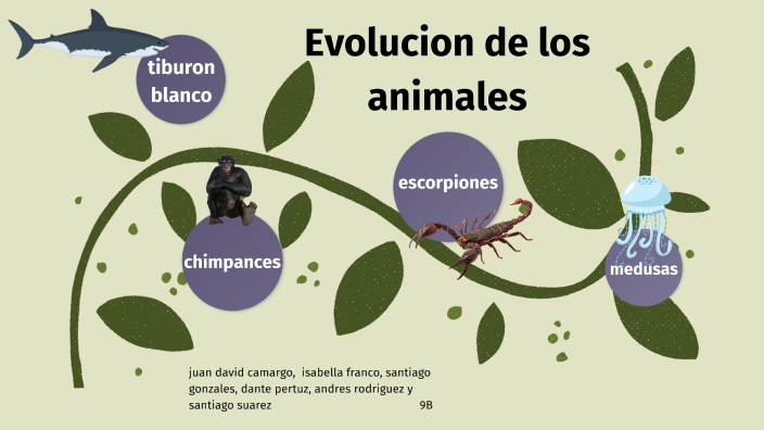 evolucion de los animales by santiago suarez on Prezi