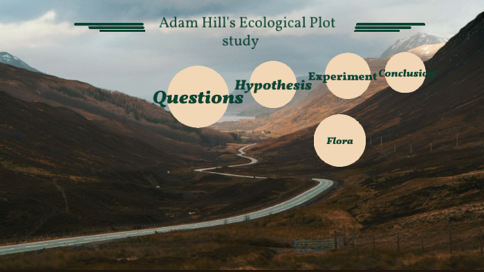 Ecological plot study by Adam Hill on Prezi