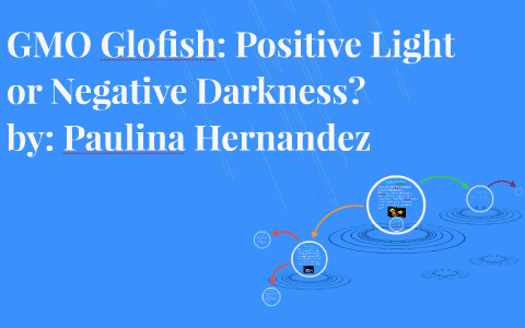 GMO Glofish by Paulina Hernandez on Prezi