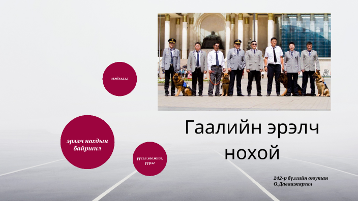 fhfj by ochirbold Davaa on Prezi