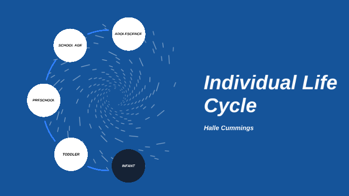 Individual Life Cycle by HALLE CUMMINGS on Prezi