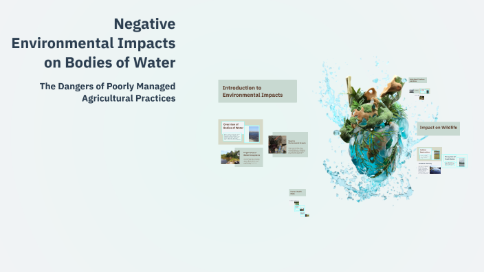 Negative Environmental Impacts on Bodies of Water by Kiera Trippett on ...