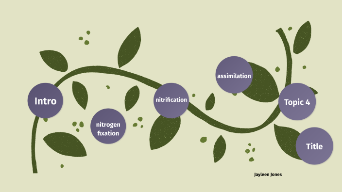nitrogen cycle by jayleen jones on Prezi