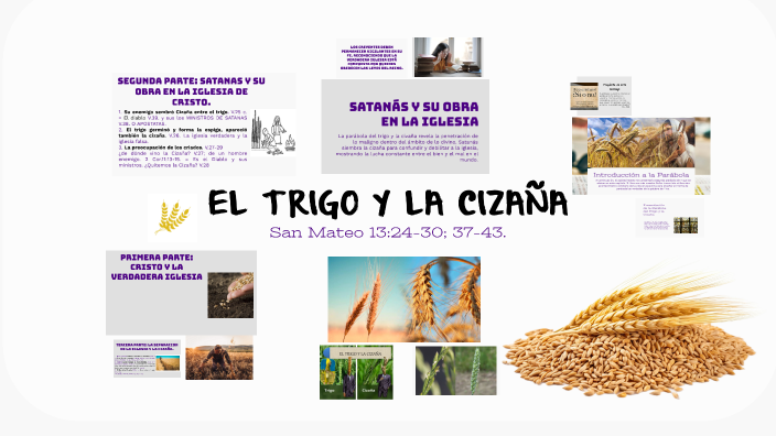 EL TRIGO Y LA CIZAÑA by Ignacio Loarca Francisco on Prezi