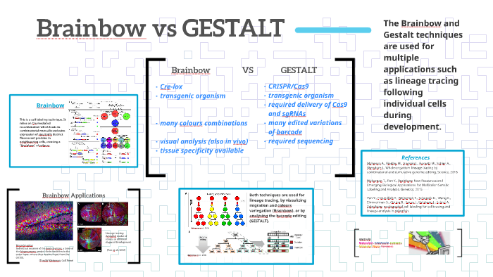 Brainbow vs GESTALT by Monica Piana on Prezi