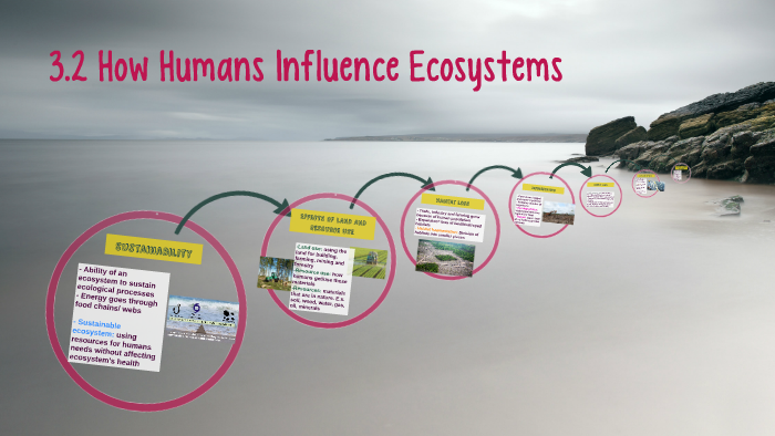 3.2 How Humans Influence Ecosystems by Maria Pena on Prezi